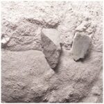 LA CAL: HISTORIA, PRESENTE Y FUTURO - Sofcar